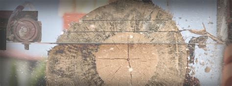 How To Saw Logs Into Lumber