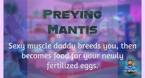 Preying Mantis 3 33 Max Reynard Morphelio