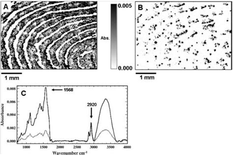 Figure 8 From Hyperspectral Imaging For Non Contact Analysis Of
