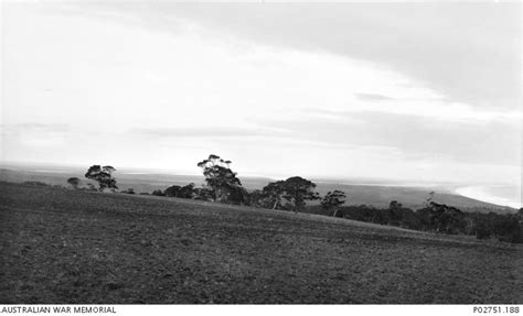 Several Fenced Flat Padocks On A Slight Downwards Slope Towards The