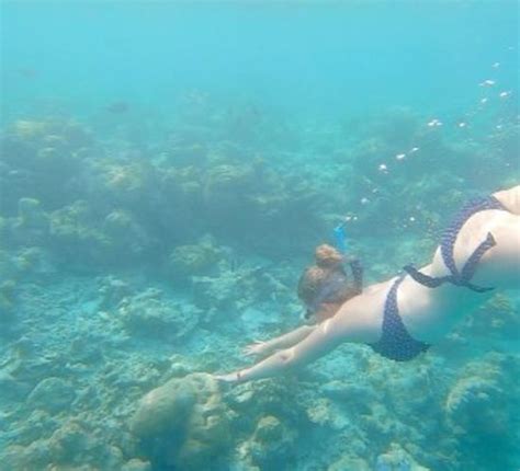 Best Scuba Diving In Maldives Adaaran Prestige Vadoo