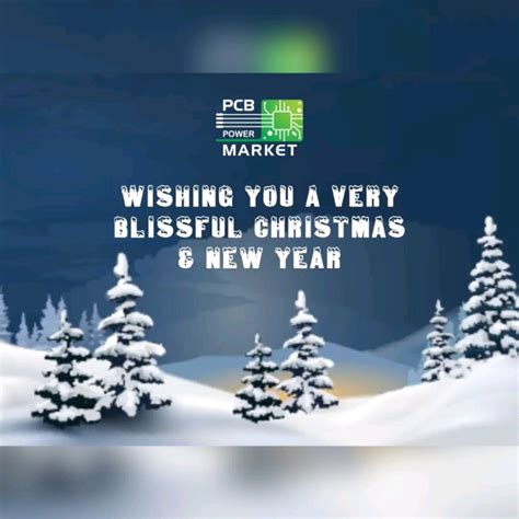 Deepa Narayan On Linkedin Christmas Celebration India Power