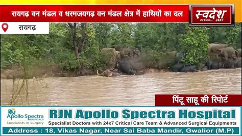 रायगढ़ रायगढ़ वन मंडल व धरमजयगढ़ वन मंडल क्षेत्र में हाथियों का दल