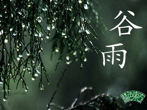 綠色東方・健康生活概念店 大家好🙋‍♀️，庚子年谷雨節氣到了，清明節氣期間，臨床出現一類因元陽不足與陽明伏熱互為影