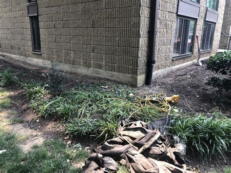 Nv Waterproofing And Foundation Repair Before And After Photo Set
