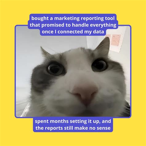 Elly Analytics💛 On Linkedin Marketingmeme Mememarketing