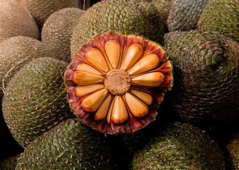 Veja Quais São Os Benefícios Do Pinhão E Receitas Com O Ingrediente