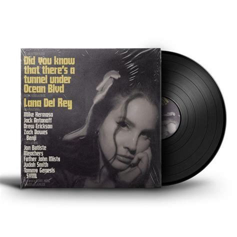 Виниловая пластинка Del Ray Lana - Did You Know That There's a Tunnel ...