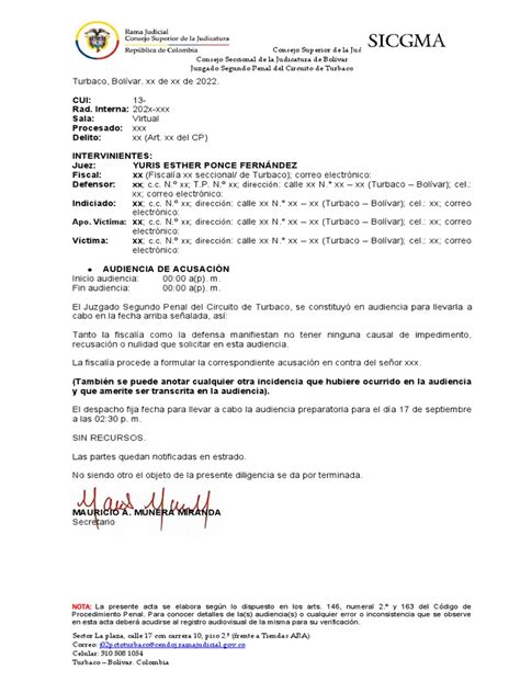 Modelo Acta Acusación Pdf Justicia Crimen Y Violencia