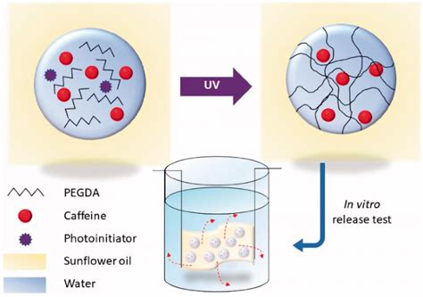Polymeric Nanohydrogels Via UV Radiation For Drug Delivery Photopolymer