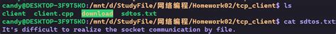 linux网络编程之tcp文件传输 linux socket 传输文件 csdn博客