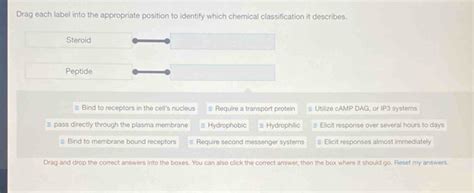 Solved Drag Each Label Into The Appropriate Position To Identify Which Chemical Classification