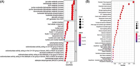 Biocell Free Full Text Prognostic Model For Prostate Cancer Based