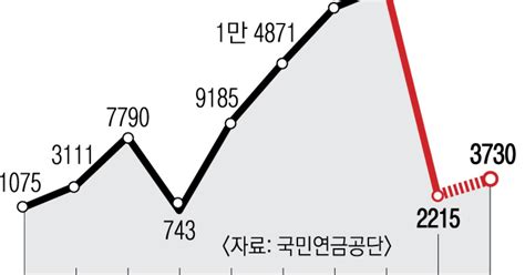 국민연금 더 받으려 수급 시기 연기 급증