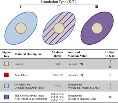 Material Models Of The Three Different Simulation Types Used In This Download Scientific