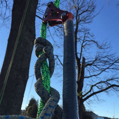Srt What Is All The Fuss About Climbing Arborist