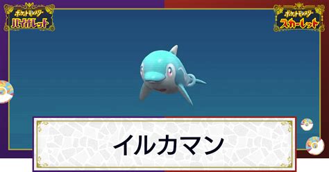 【ポケモンsv】イルカマンの入手方法と進化条件｜技と種族値【スカーレットバイオレット】 神ゲー攻略