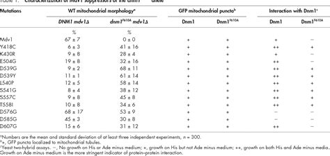 Table 1 From A Novel Motif In The Yeast Mitochondrial Dynamin Dnm1 Is