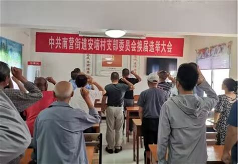 宜城市农技中心联合南营街道安垴村开展庆七一主题党日 楚都宜城网