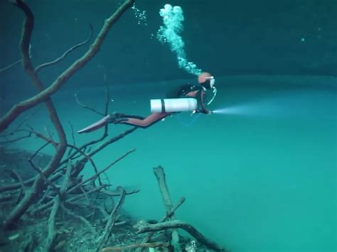 Sungai Di Bawah Laut Fenomena Yang Sudah Dijelaskan Di Al Quran Dan