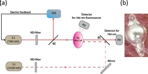 A Schematic Drawing Of The Experimental Setup Bs Beam Splitter Pd