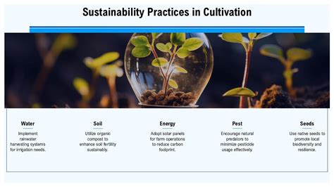 Sustainability Practices In Cultivation Piriformospora Indica Ppt Presentation St Ai Ss Ppt Slide