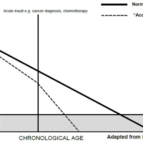 Pdf Functional Decline In The Cancer Patient A Review
