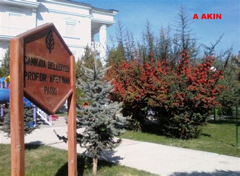 Prof Dr Afet İnan Parkı Ankara Büyükşehir Belediyesi