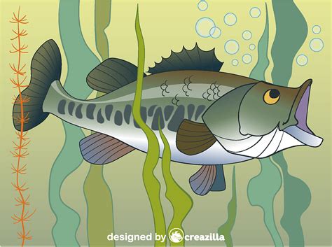 Largemouth Bass Vector Free Download Creazilla