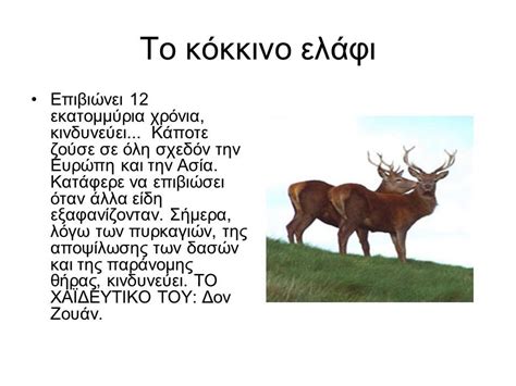 ΖΩΑ ΥΠΟ ΕΞΑΦΑΝΙΣΗ Youtube