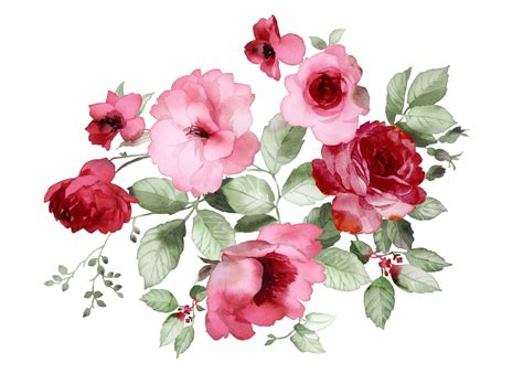 Flores Para Florescer A Alma Relacionamentos E A Vida