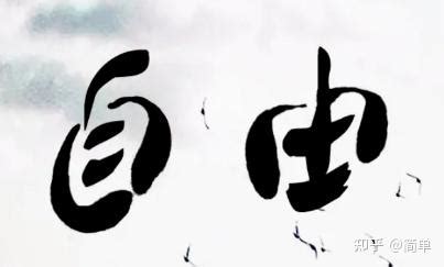 自由度的理解 知乎