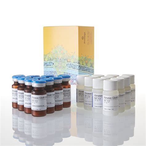 Kinase Glo Luminescent Kinase Assay Nerliens Meszansky As