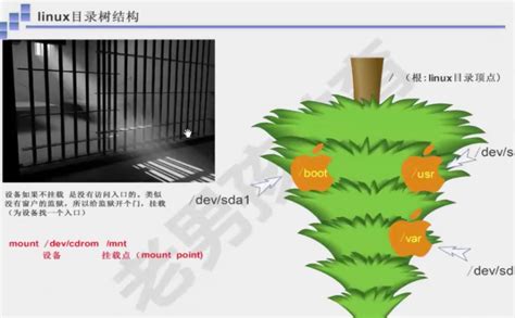 Linux系统目录结构介绍 Csdn博客