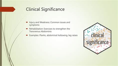 Transverse Abdominal Definition And Functions Ppt