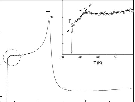 Ac Susceptibility Of A Ceramic Rusr 2 Gdcu 2 O 8 Sample The Peak Marks Download Scientific