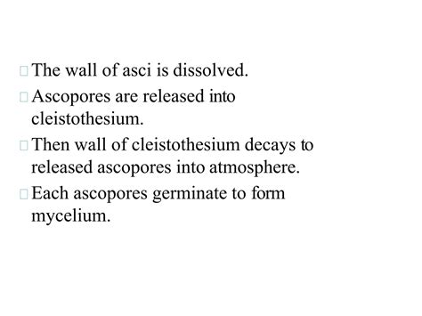 Life Cycle Of Aspergillus Pptx