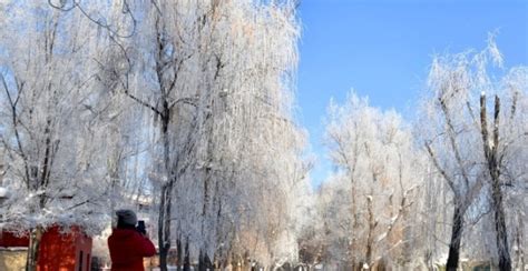 寒潮来袭 暖心行动丨雪后的乌鲁木齐 蓝天映雪好浪漫腾讯新闻