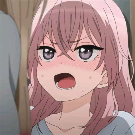 猫之城wiki官网猫之城图鉴gamekee