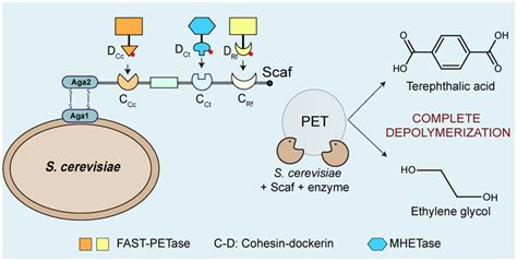 A Review On Sustainable Upcycling Of Plastic Waste Through