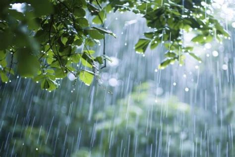 До крајот на неделава поројни дождови и невреме Skopjeinfo Mk