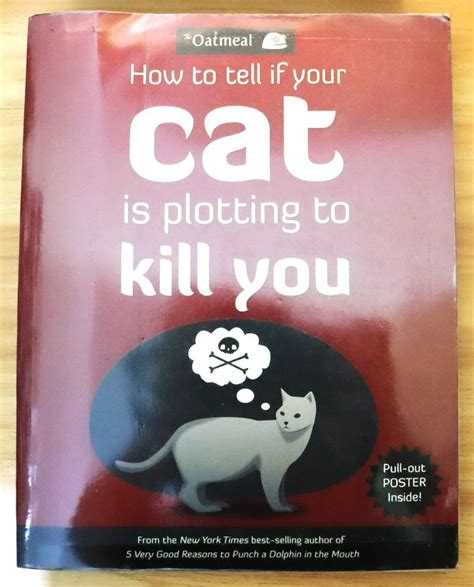 how to tell if your cat is plotting to kill you hobbies and toys books