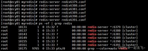 集群搭建 redis）（超详细） redis集群搭建 csdn博客