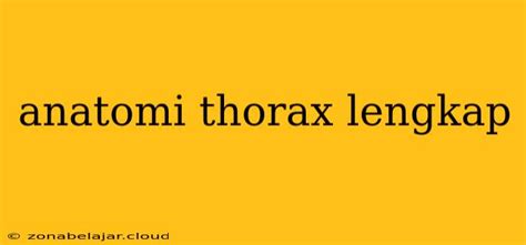 Anatomi Thorax Lengkap