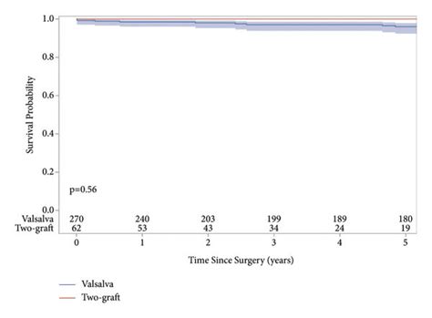 Kaplan Meier Long Term Survival Of Valve Sparing Aortic Root Download Scientific Diagram