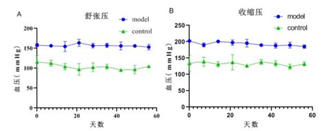 循环 心血管系统疾病 动物造模 疾病动物造模 动物实验 实验动物 江西中洪博元生物技术有限公司