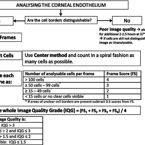 decision making flow chart for the image quality grading scale