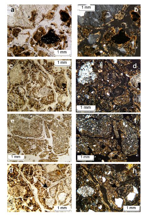 Microphotographs Illustrating The Pedogenic Processes In The Soils