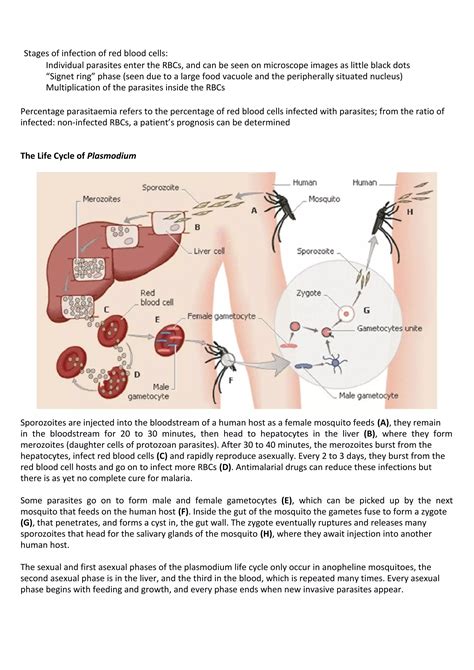Parasitology Lecture Series Pdf