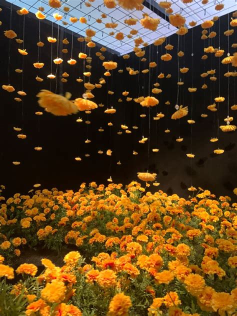 Yellow Flower Ceiling Decor